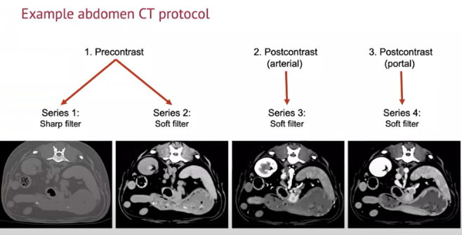 How and When to Perform CT Reconstructions for Veterinary Patients | VET.CT