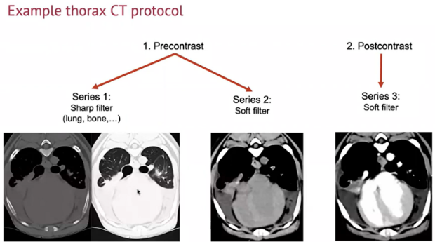 How and When to Perform CT Reconstructions for Veterinary Patients | VET.CT